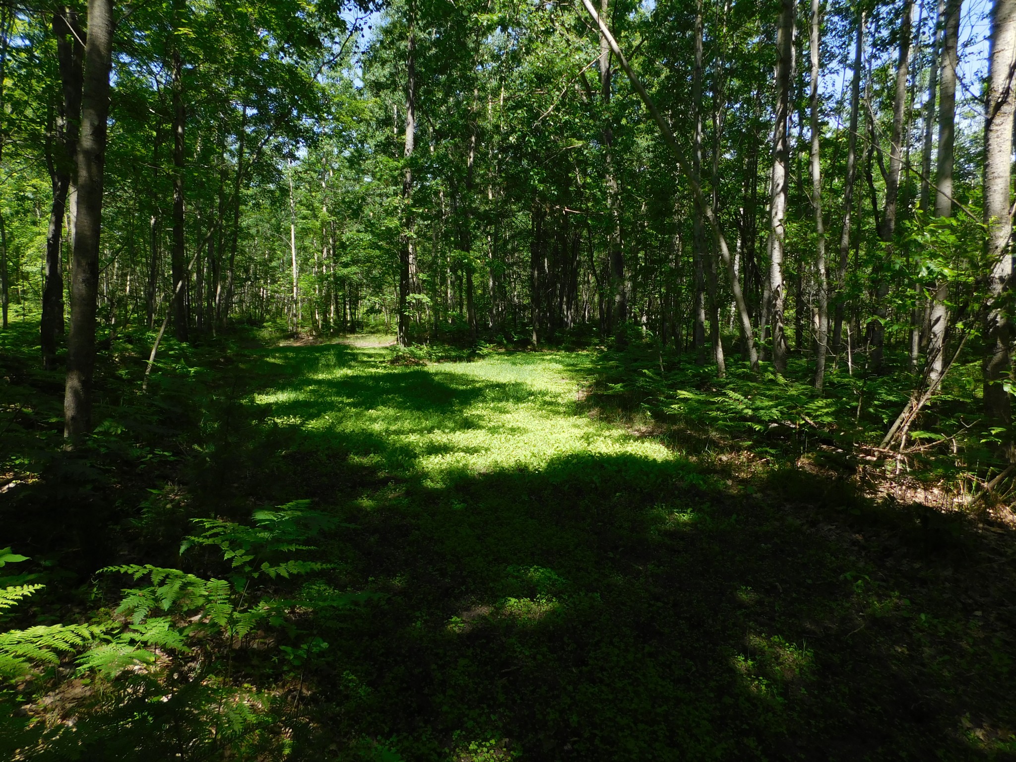 DSCN2718 - Trophy Class Real Estate