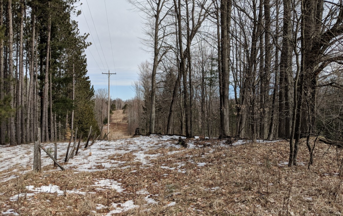 19449 8 Mile Road, Reed City, MI 49677 80 Acres - Trophy Class Real Estate