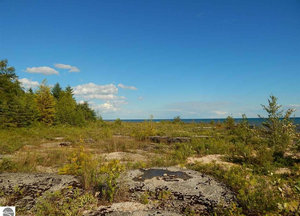 Trophy Class Real Estate Will Find You the Best Land for Sale in Michigan