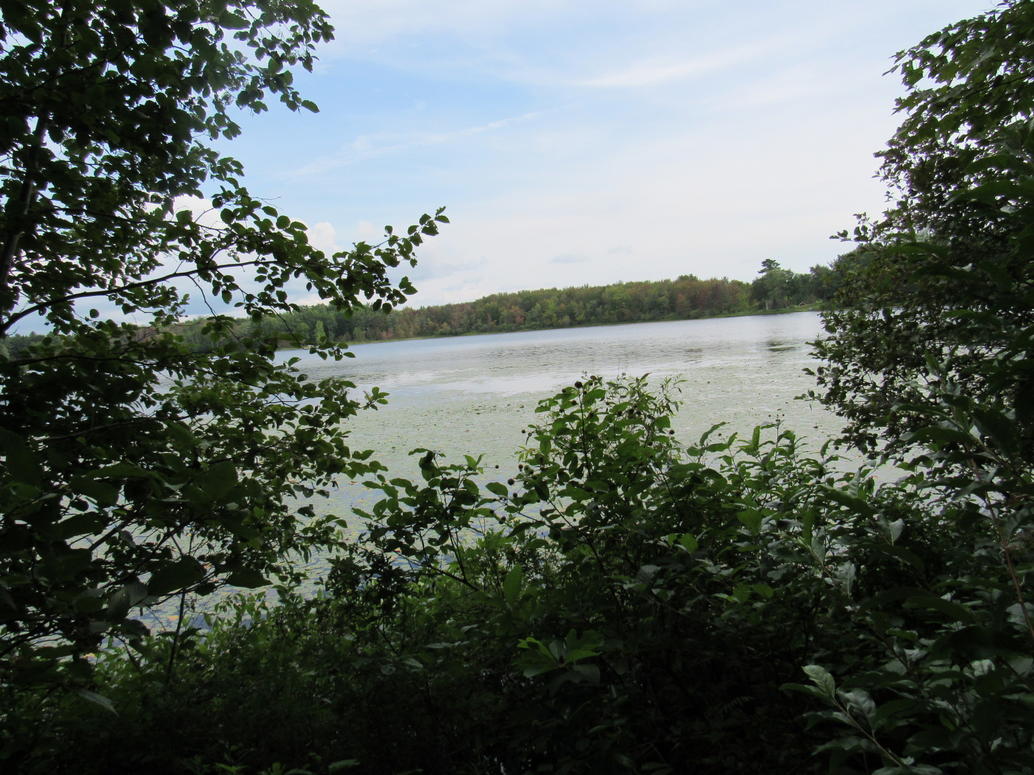 9101 Johnson Road, Kaleva, MI 49645 Chief Lake Frontage - Trophy Class ...