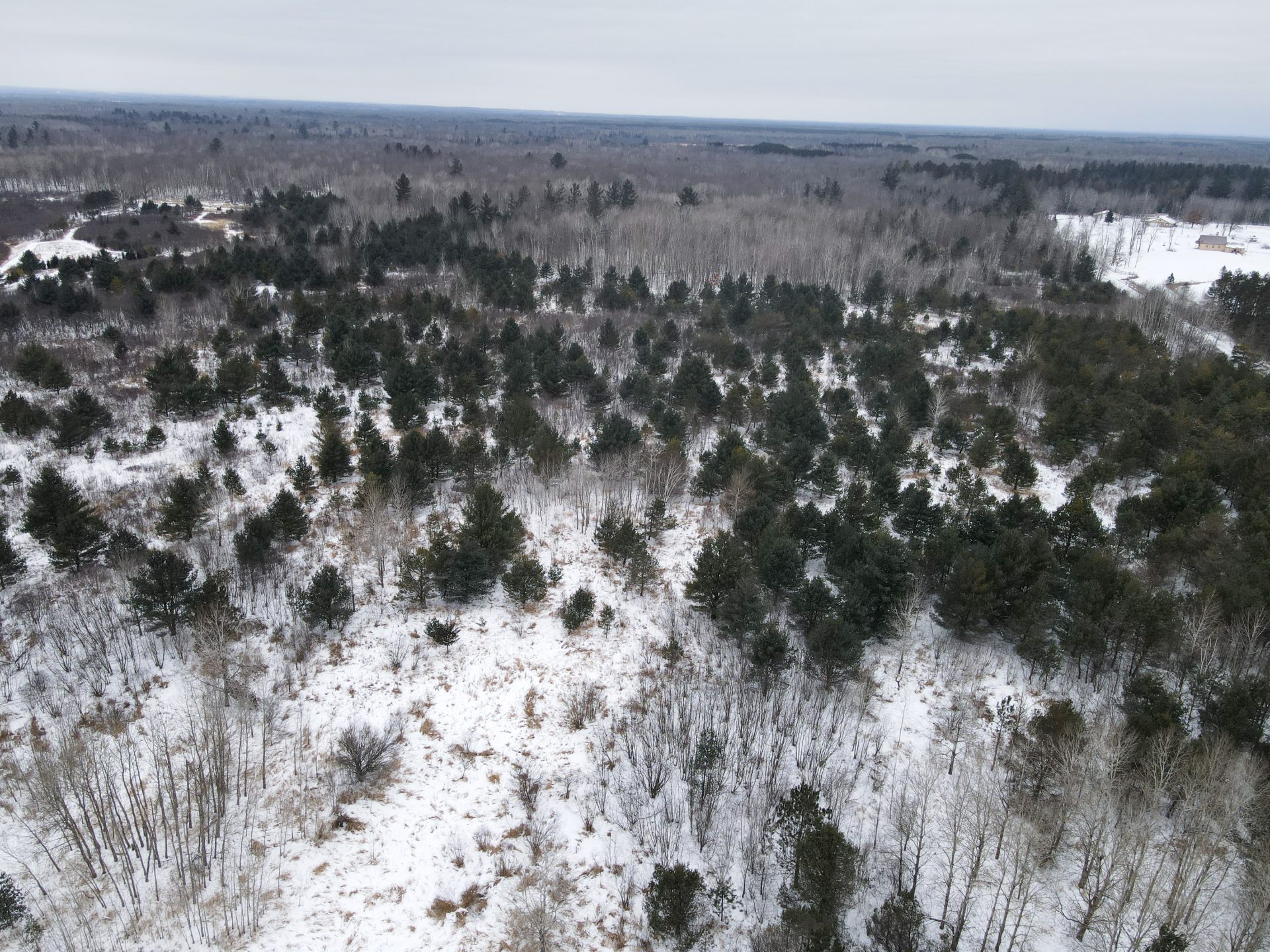 80 Acres - 7 Mile Rd, Sears, MI 49679 - Trophy Class Real Estate