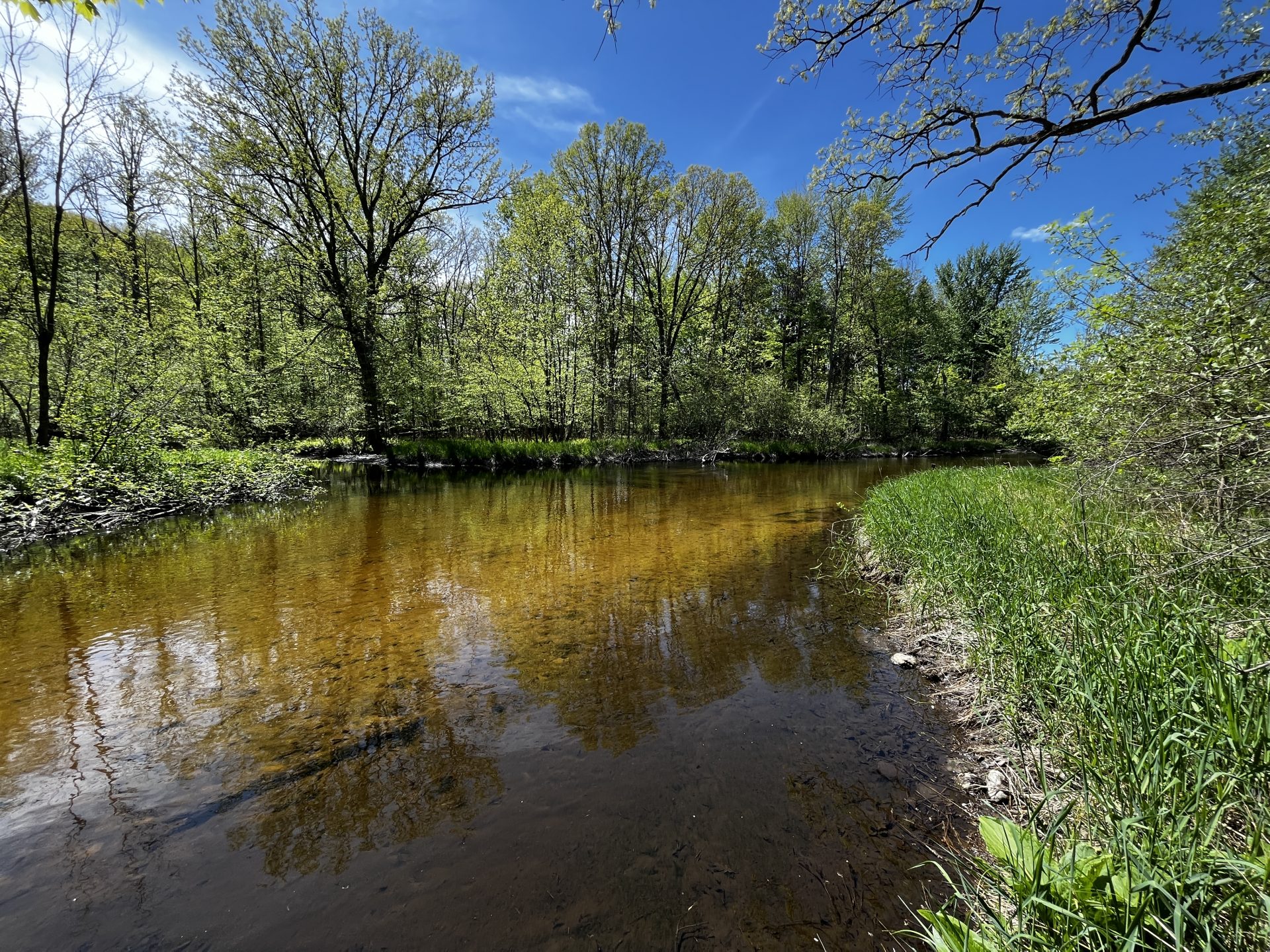 10 Acres, Miles Rd, Stanton, MI - Flat River Frontage - Trophy Class ...