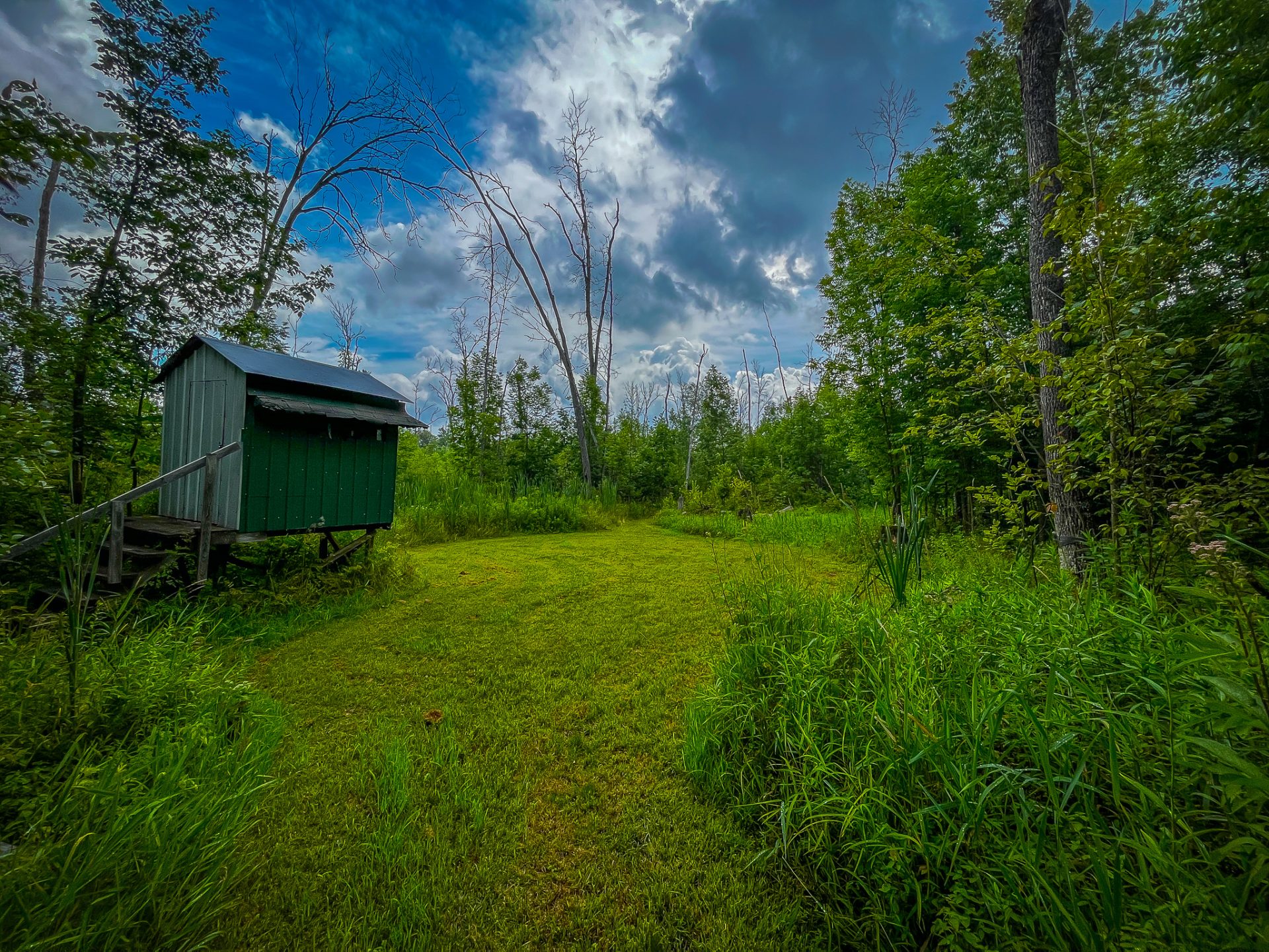 40 Acre Turn Key Hunting Camp | N Merritt Rd, Merritt, MI - Trophy ...