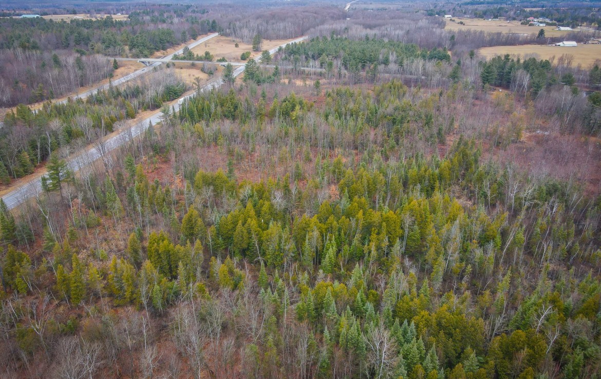 50 Acres: V/L E Long Lake Road, Harrison, MI 48625 - Trophy Class Real ...