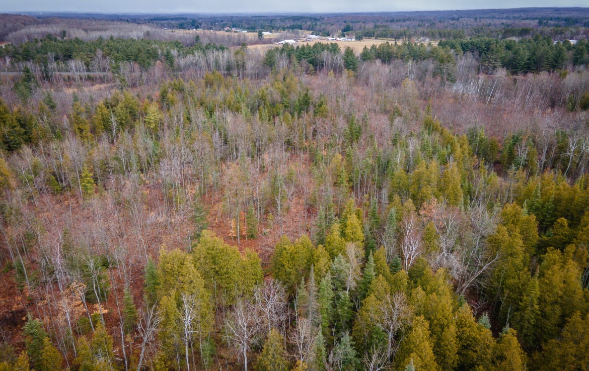 50 Acres: V/L E Long Lake Road, Harrison, MI 48625 - Trophy Class Real ...