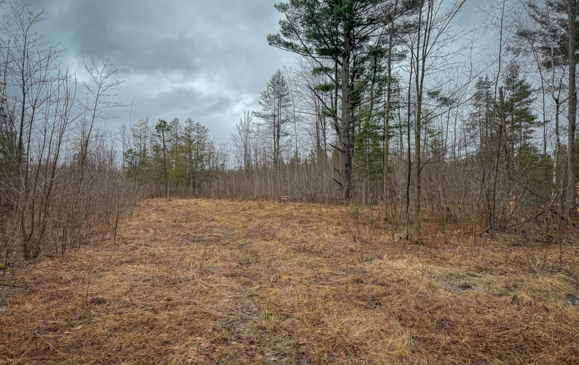 50 Acres: V/L E Long Lake Road, Harrison, MI 48625 - Trophy Class Real ...