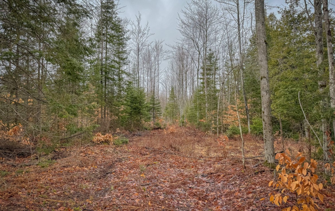 50 Acres: V/L E Long Lake Road, Harrison, MI 48625 - Trophy Class Real ...