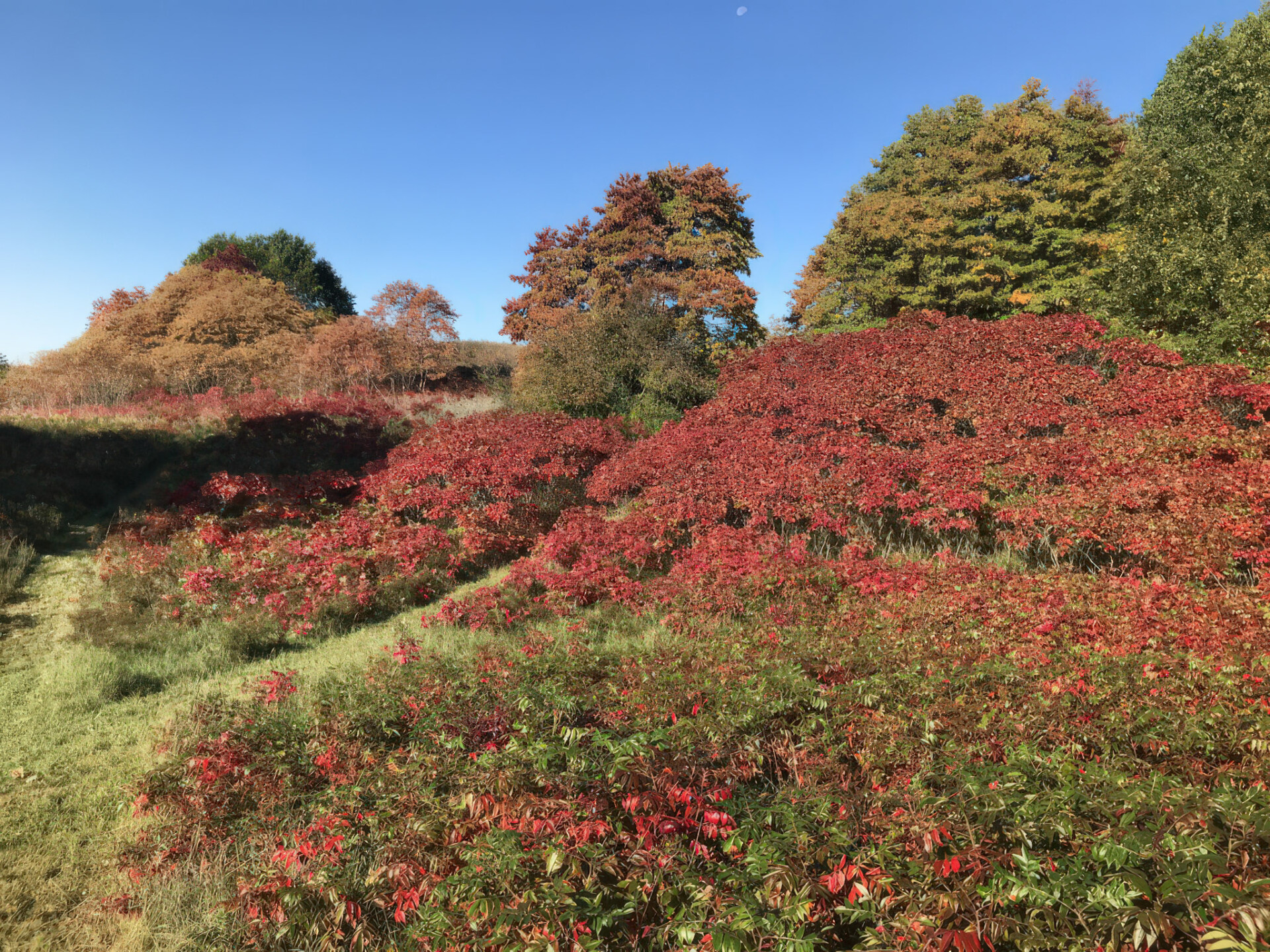 39-B7D4336B-1D3Ab-4DDE-8EDF-B9DD21373961_1_105_c-gigapixel-standard v2 ...