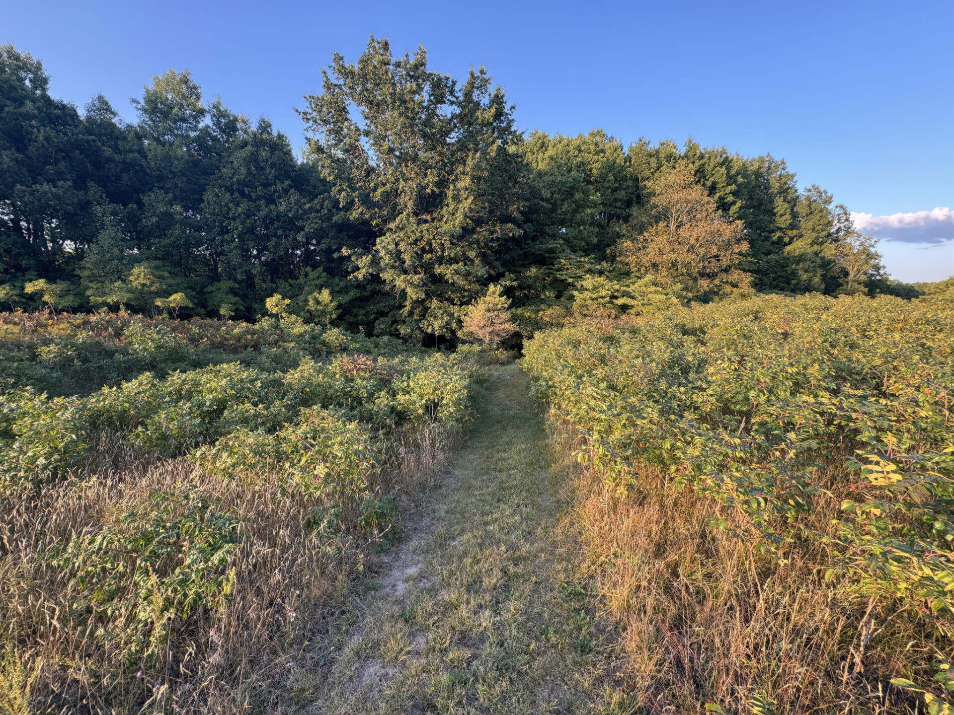 25-DF23A46B-9C2F-4E4A-AA7F-1415DCD04F35_1_102_o-gigapixel-standard v2 ...